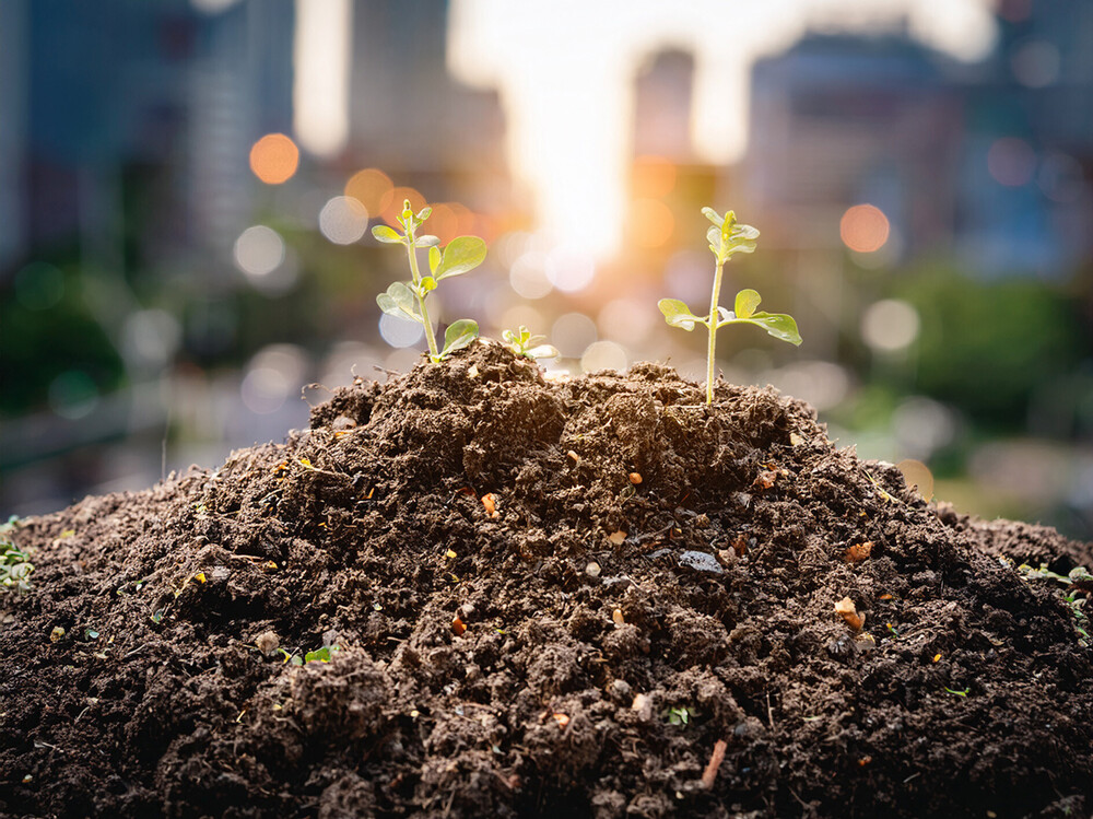 Der Kompost | Hessisches Staatstheater Wiesbaden
